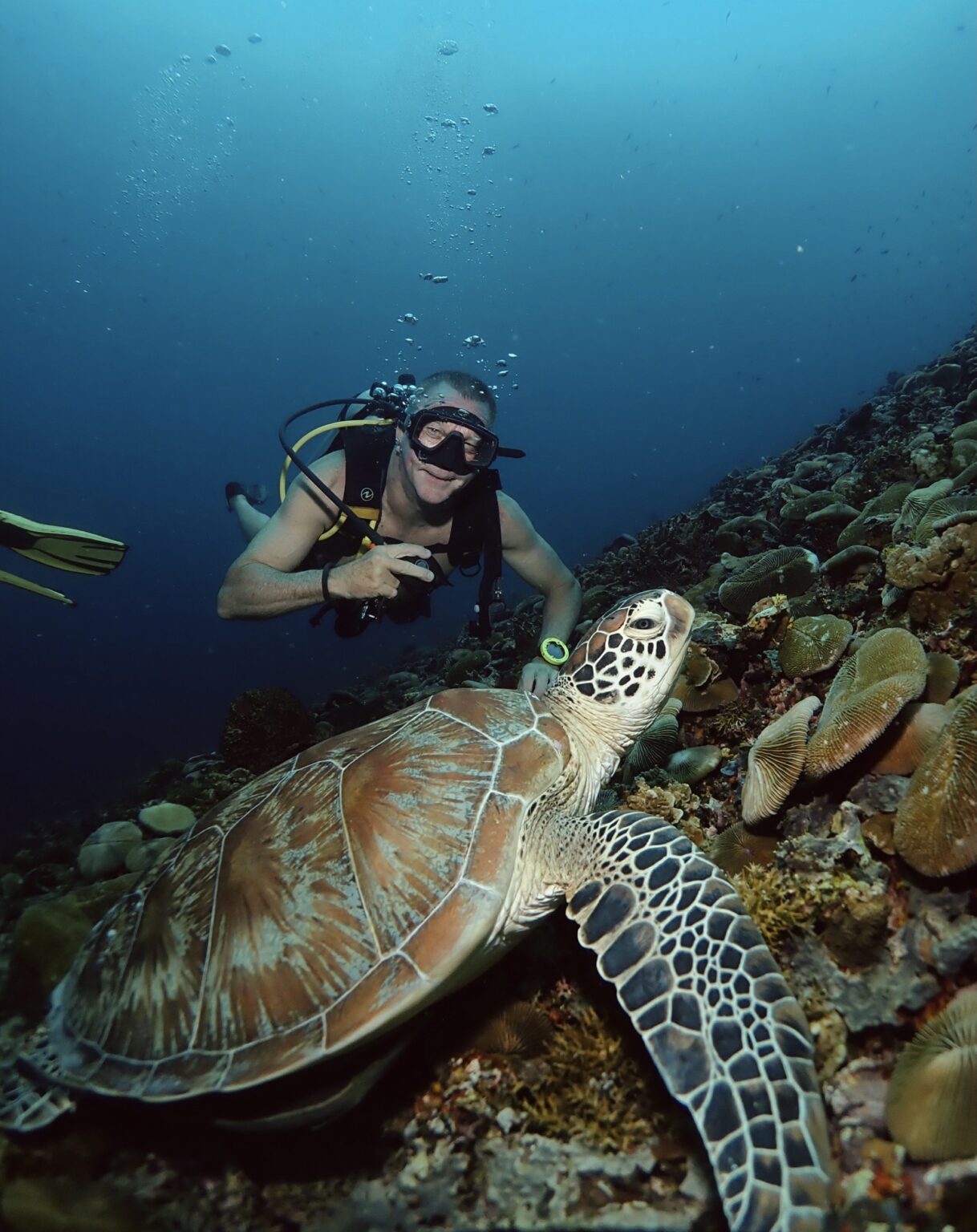 Advanced Adventurer Course - Zero to Hero Dive