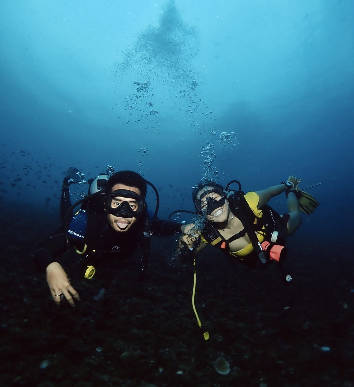 Diver Stress and Rescue & React Right Course - Zero to Hero Dive